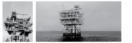 Case Studies – Sekito Group